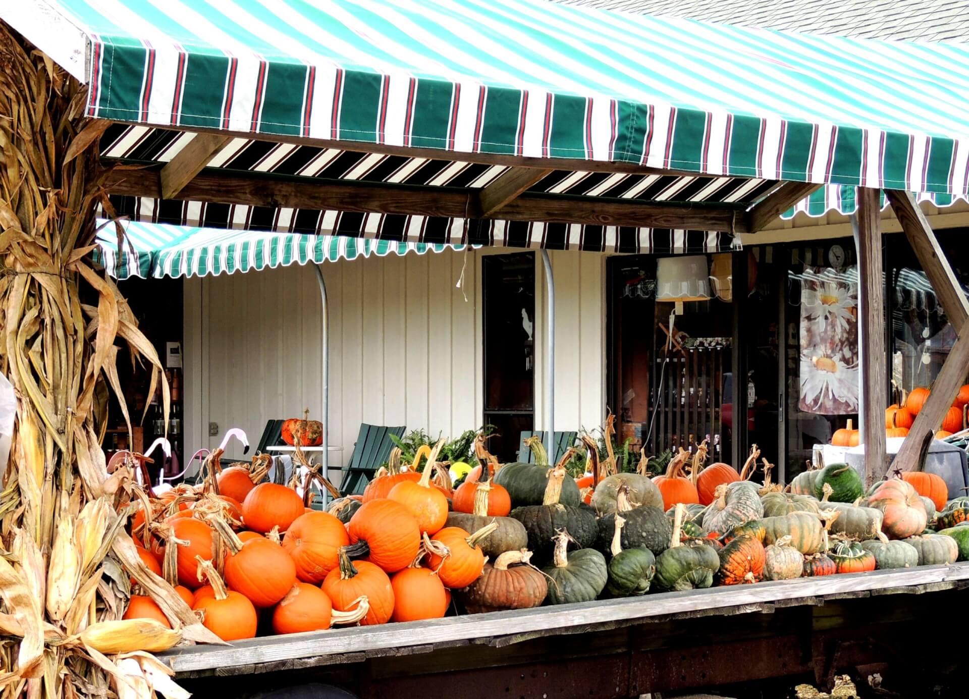 Fall Farm Markets - A Harvest of Family Fun | Northern Outer Banks